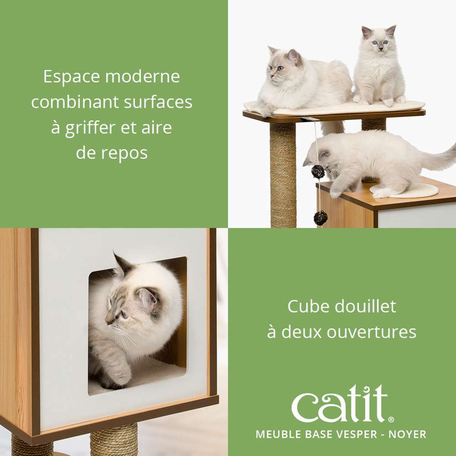 Poteau à griffer pour arbre à chat - En jonc de mer - 8 x 21,5 cm - Ca ...