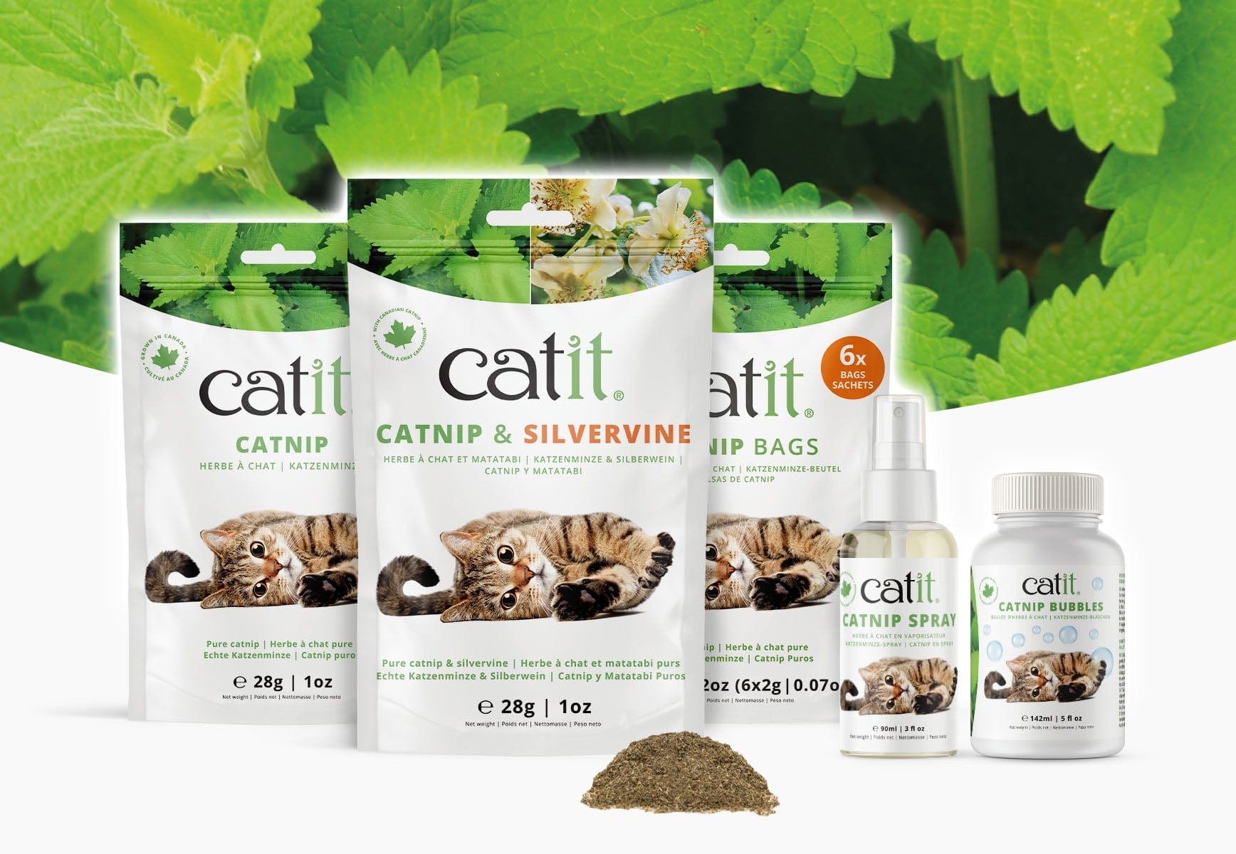 Catit France – La boutique officielle 100% chat – Catit France | La ...